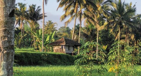 Top Activities in Tetebatu & Lombok – Rinjani Treks, Tours & More